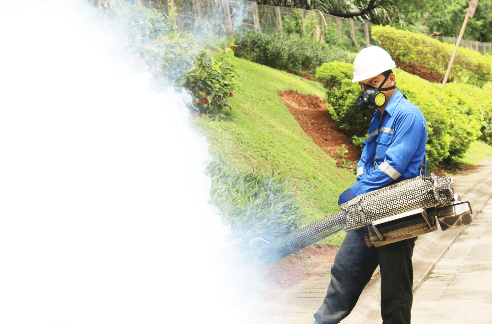 pest control jakarta - Jasa Cleaning service, Pest control, Landscaping ...