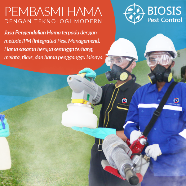 Jasa Pengendalian hama - Pest Control - Jasa Cleaning service, Pest ...