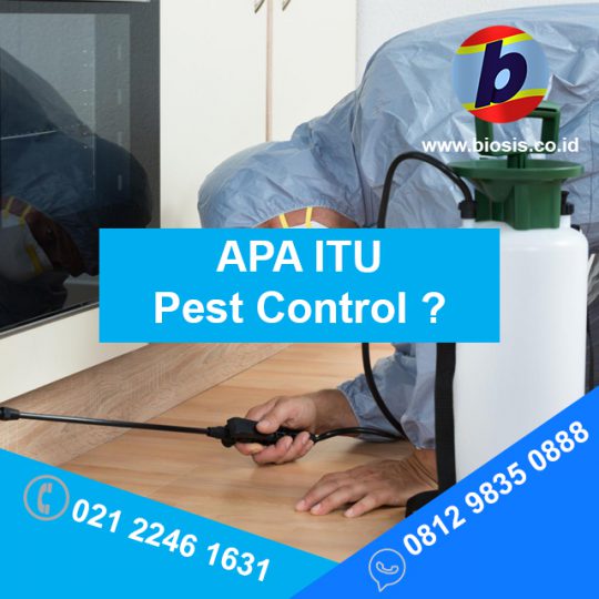 Pengertian dari Pest Control - Jasa Cleaning service, Pest control ...